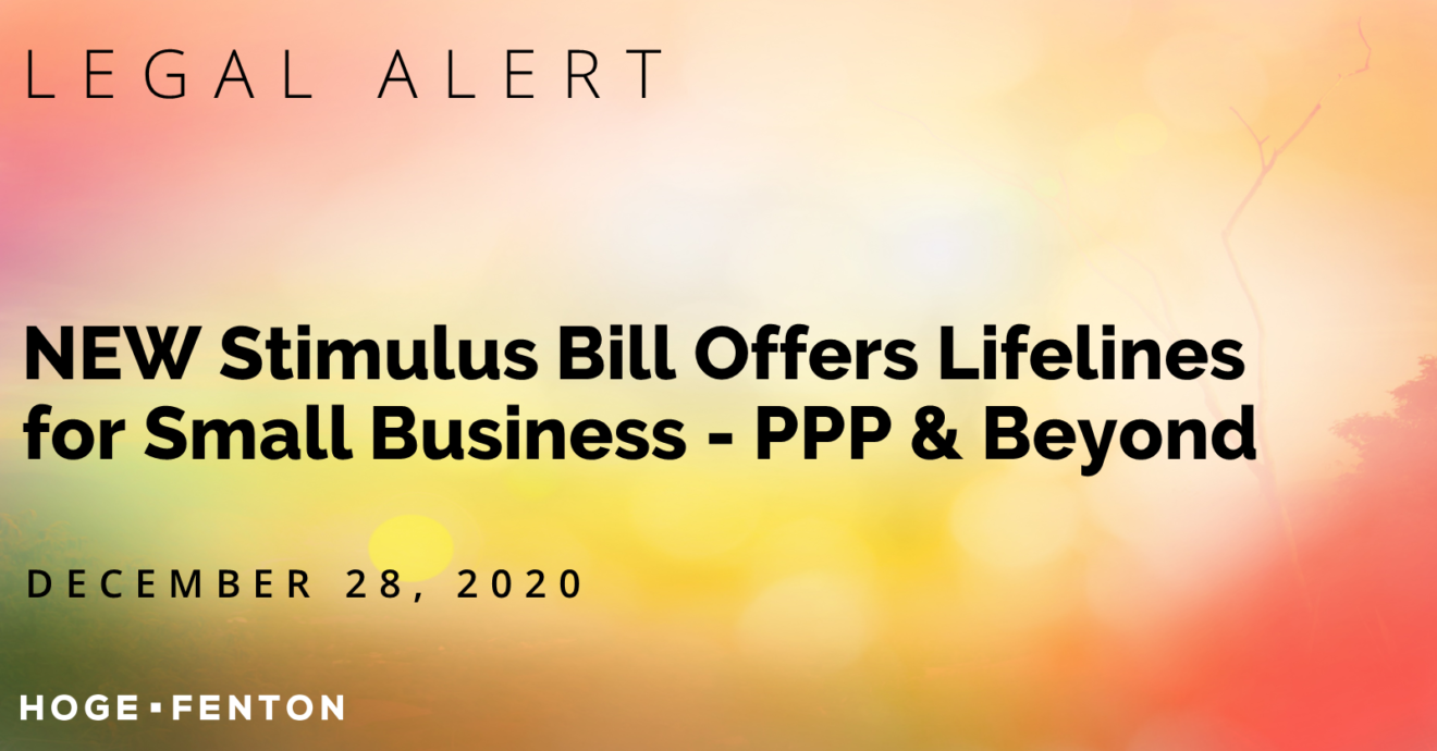New Stimulus Bill Offers Lifelines for Small Business - PPP & Beyond ...